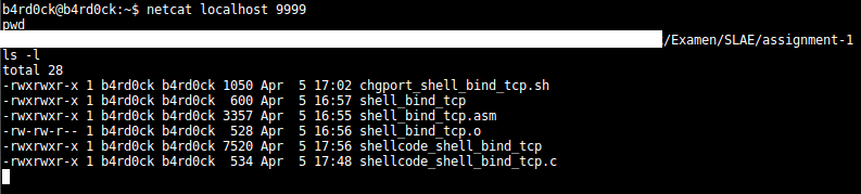Slae32 Assignment 1 Create A Shellbindtcp Shellcode