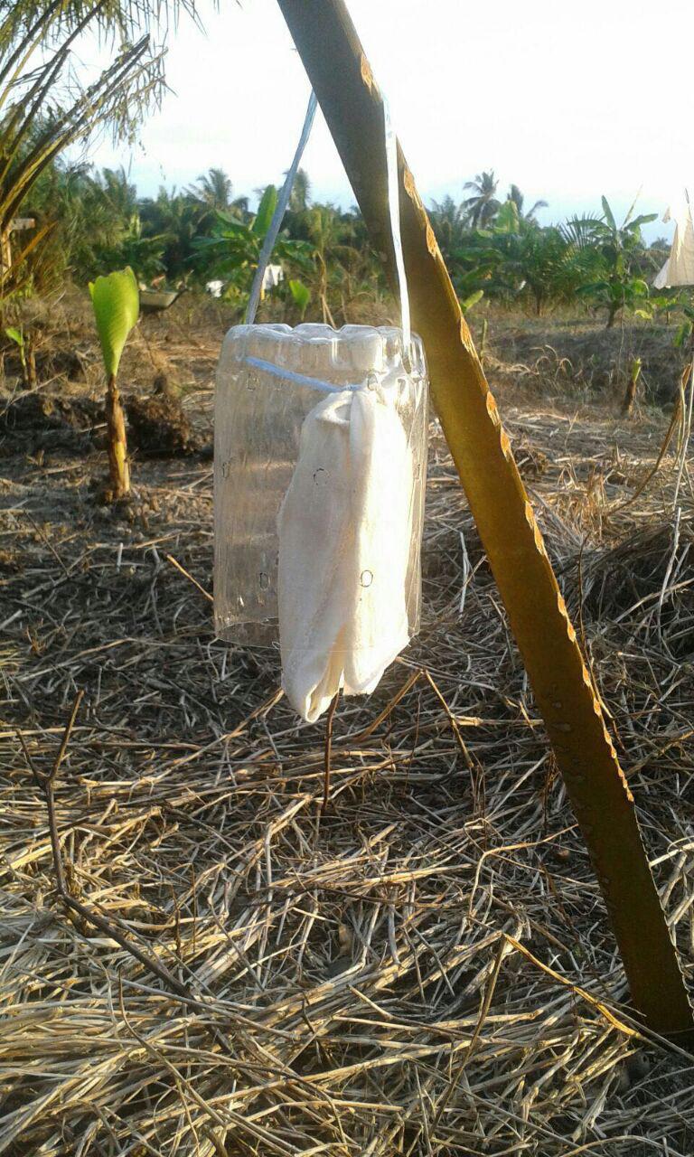 KERIMO: Apa itu KERIMO?