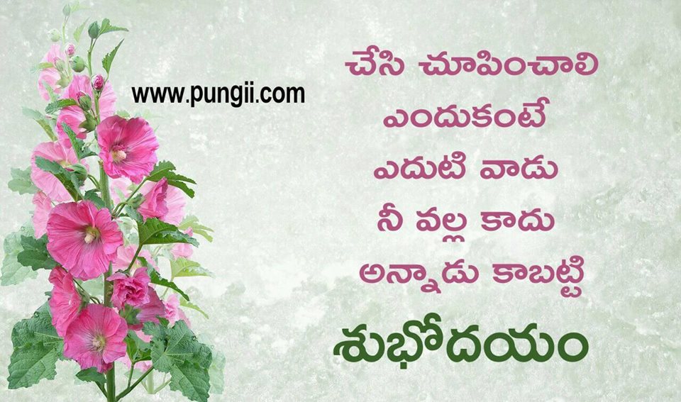 kotesan in telugu కొటేషన్ తెలుగు