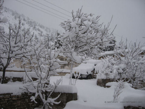 Welcome To Pakistan: Ziarat valley