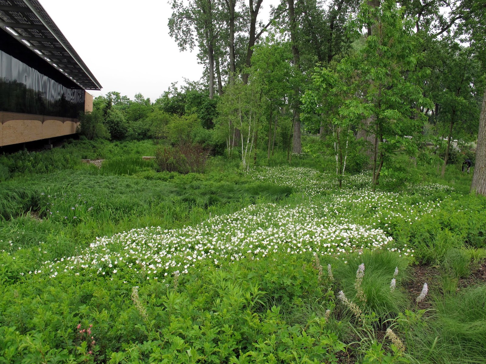 En el jardin: Jardín Botánico de Chicago: vale la pena.