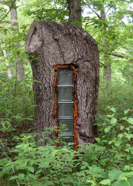 | Tree Houses | House on Trees | Sweet Tree Houses | Beautiful Tree ...