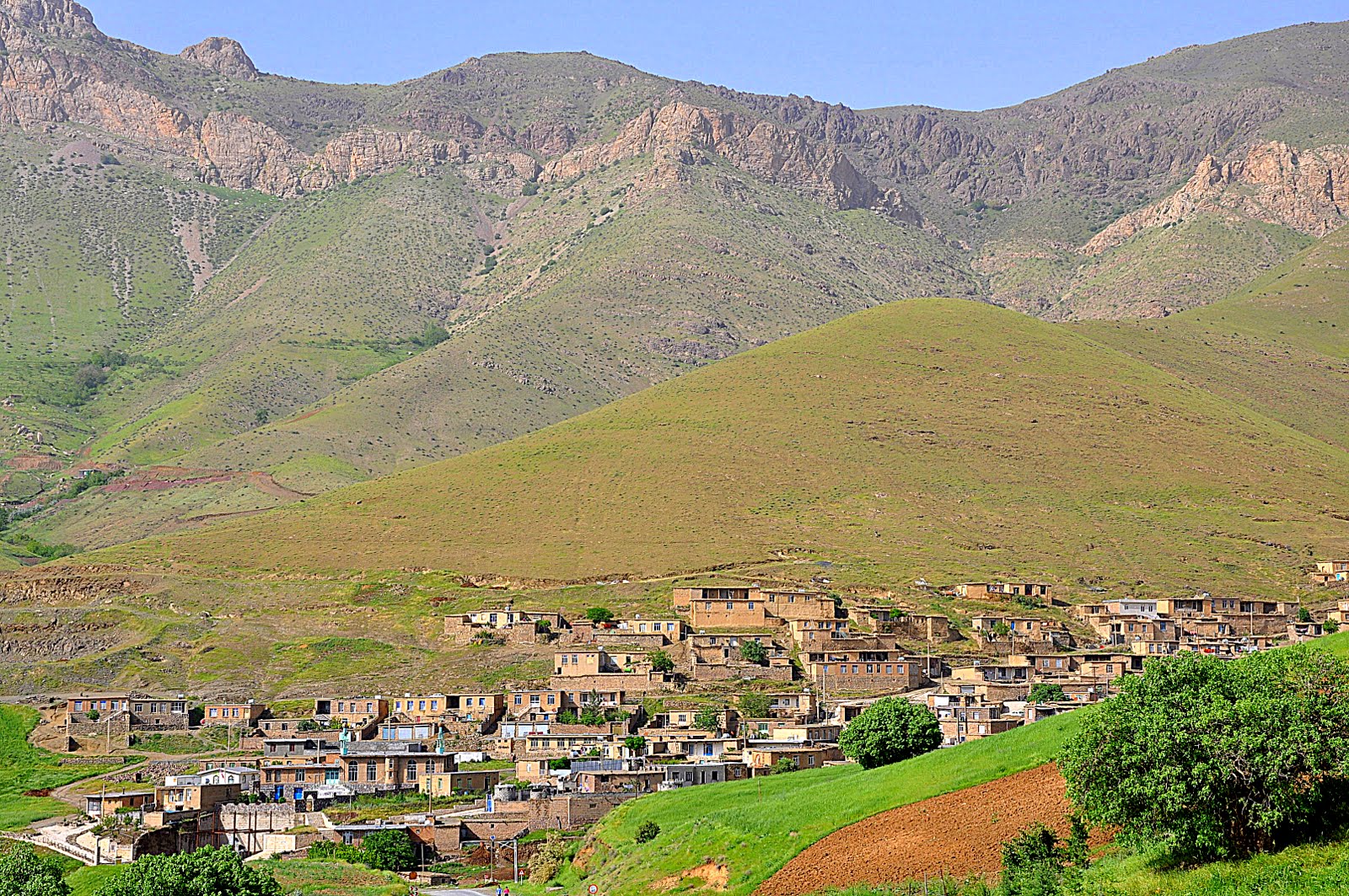 The Olive Journey: A stopover in Kamyaran - Kurdistan, Iran