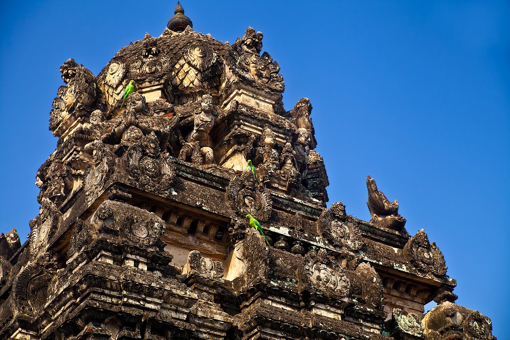 Tamilnadu Tourism: Pavala Vanna Perumal Temple, Kanchipuram
