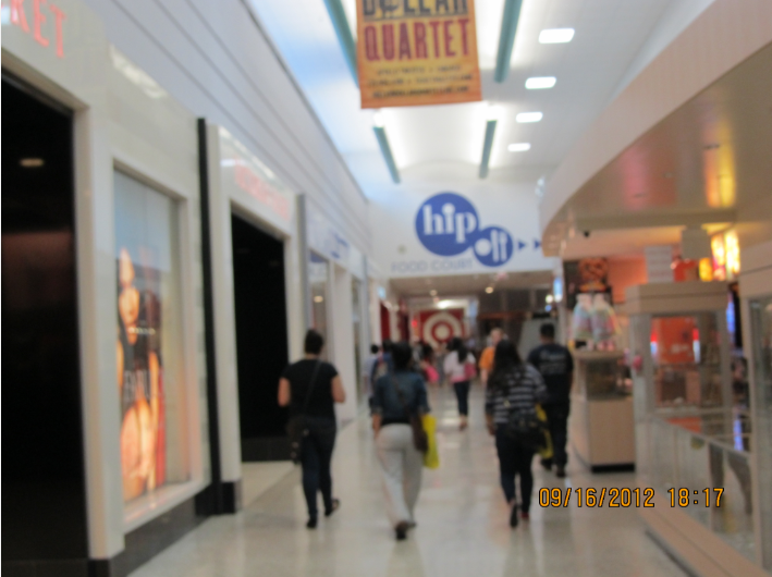 Trip to the Mall: Harlem Irving Plaza- (Norridge, IL)