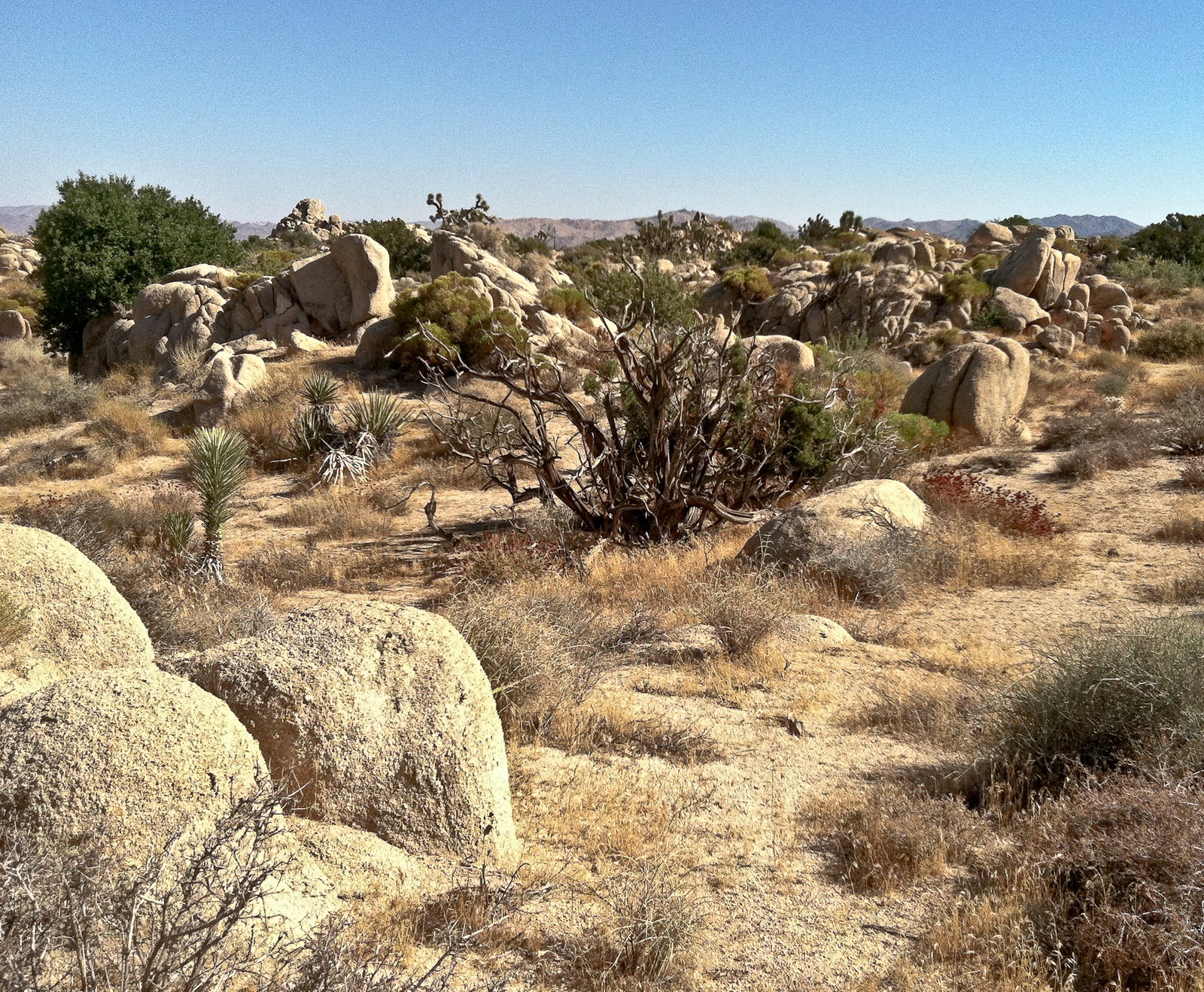 OnTheMove-Road Trips: The Snake Ranch
