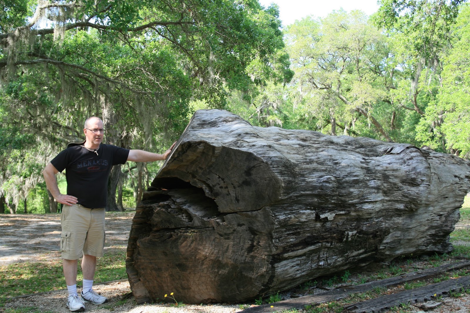 Amy's Creative Pursuits: My Myrtle Beach Vacation: Day 4, Brookgreen ...