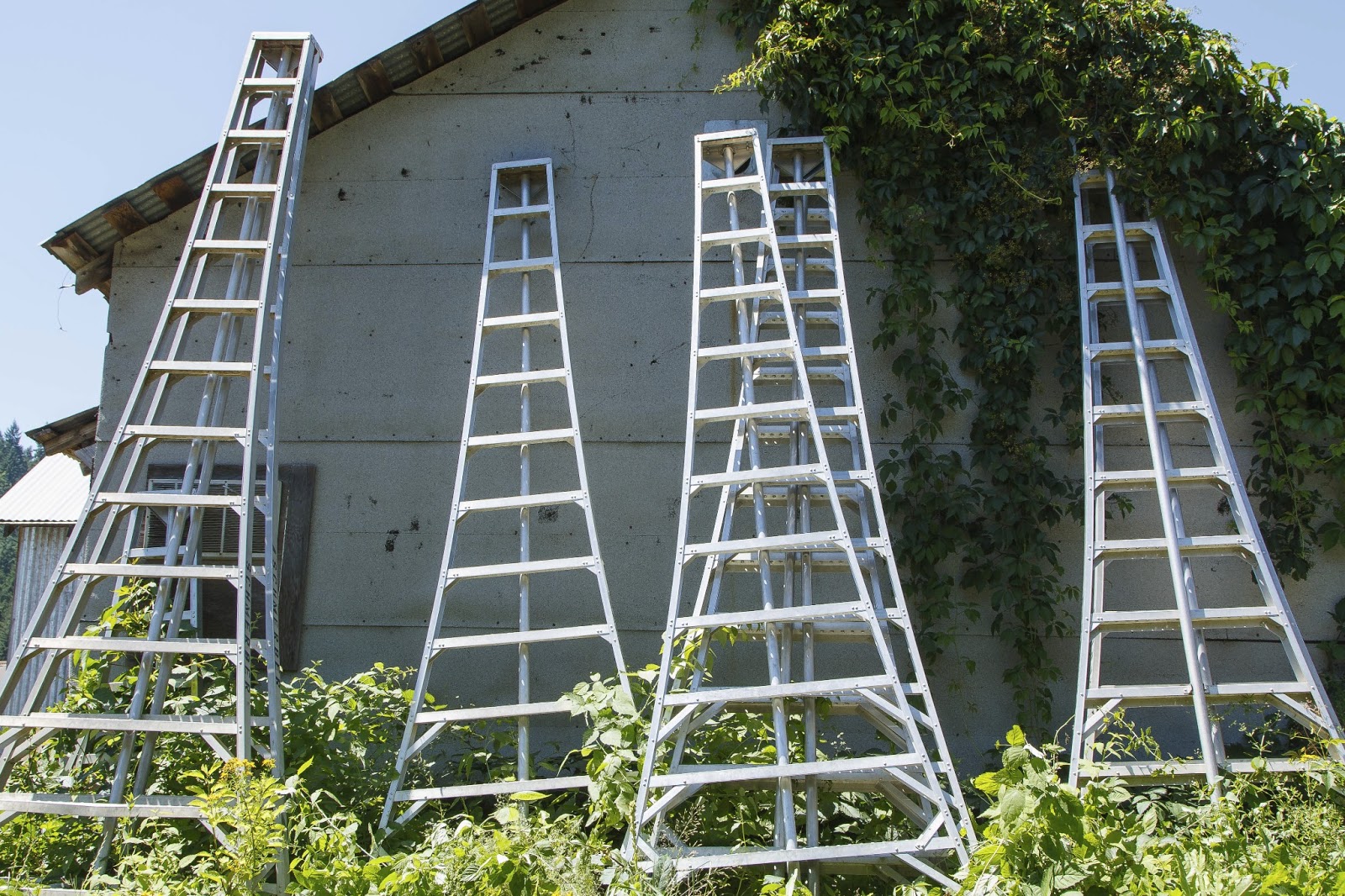 Hungry Cravings: The Perils of Cherry Picking