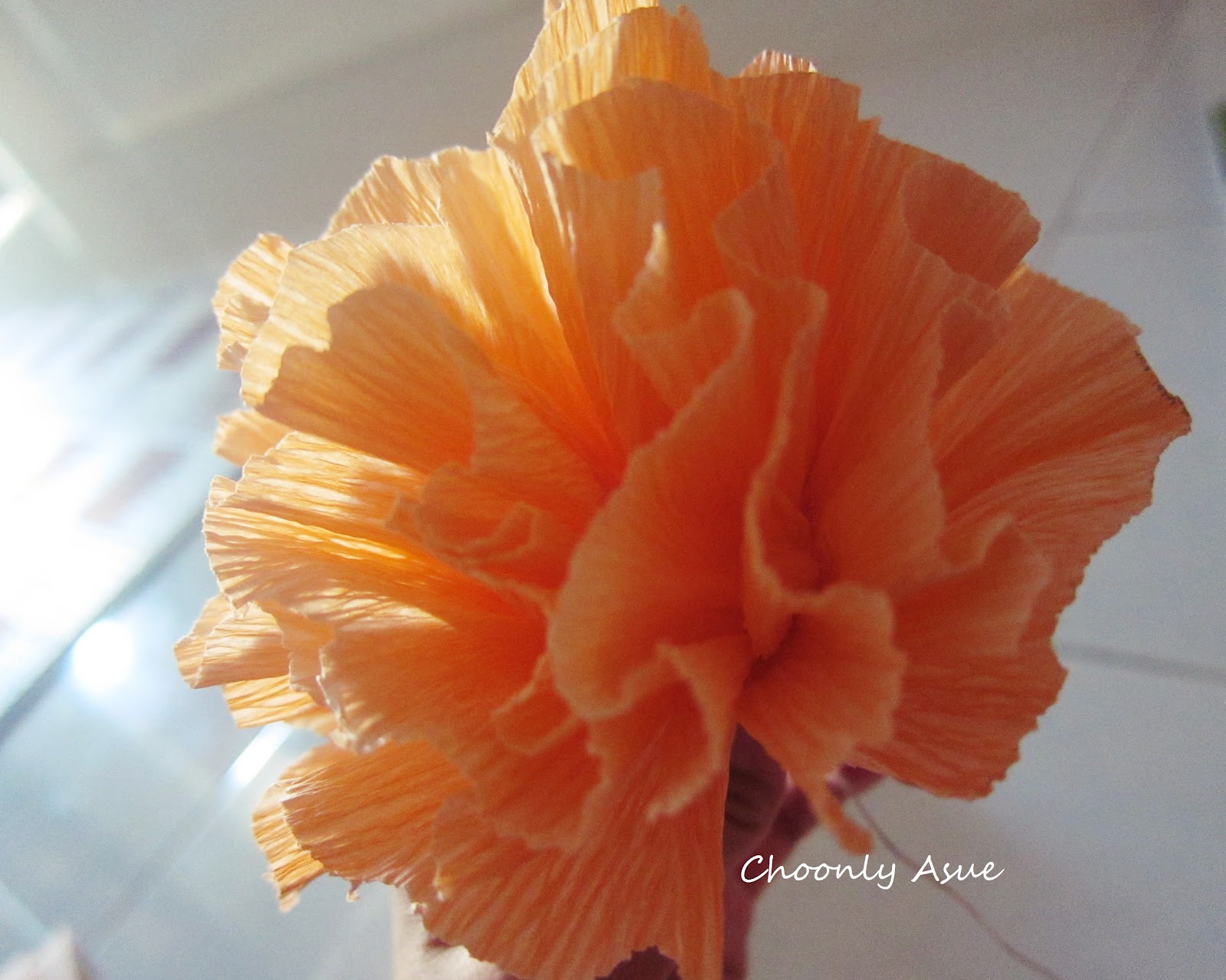 DiY bunga tisue tapi pakai crepe paper | AsueIskandar