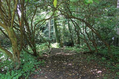 Jim Long's Garden: Sandy Mush Herb Farm