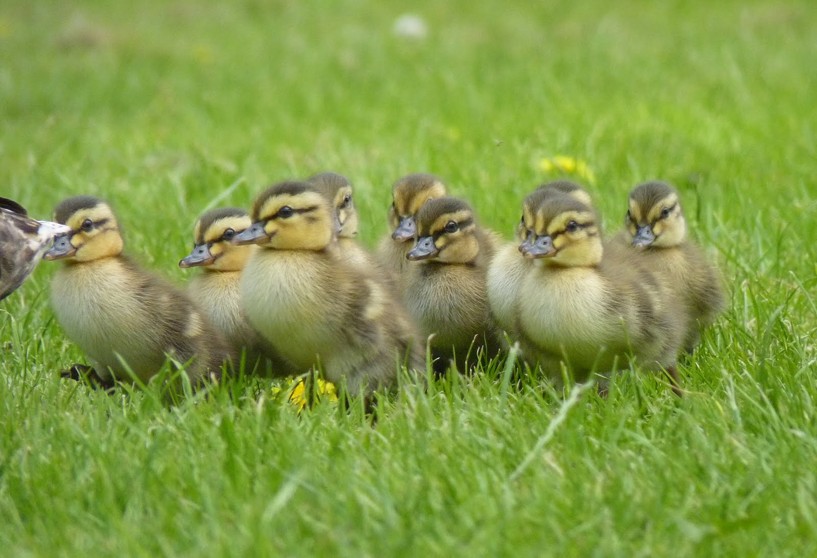 Matthew Foakes Photography