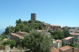 TASI AZZERATA A PIRAINO