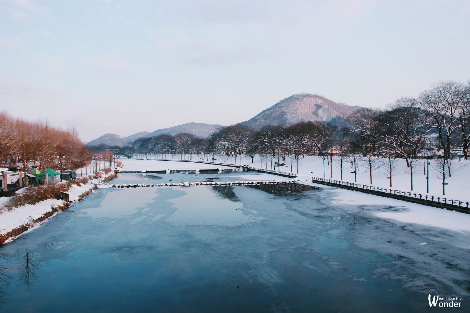 Winter Wonderland in Damyang Pt. 3 - Gwanbangjerim Forest (관방제림 ...