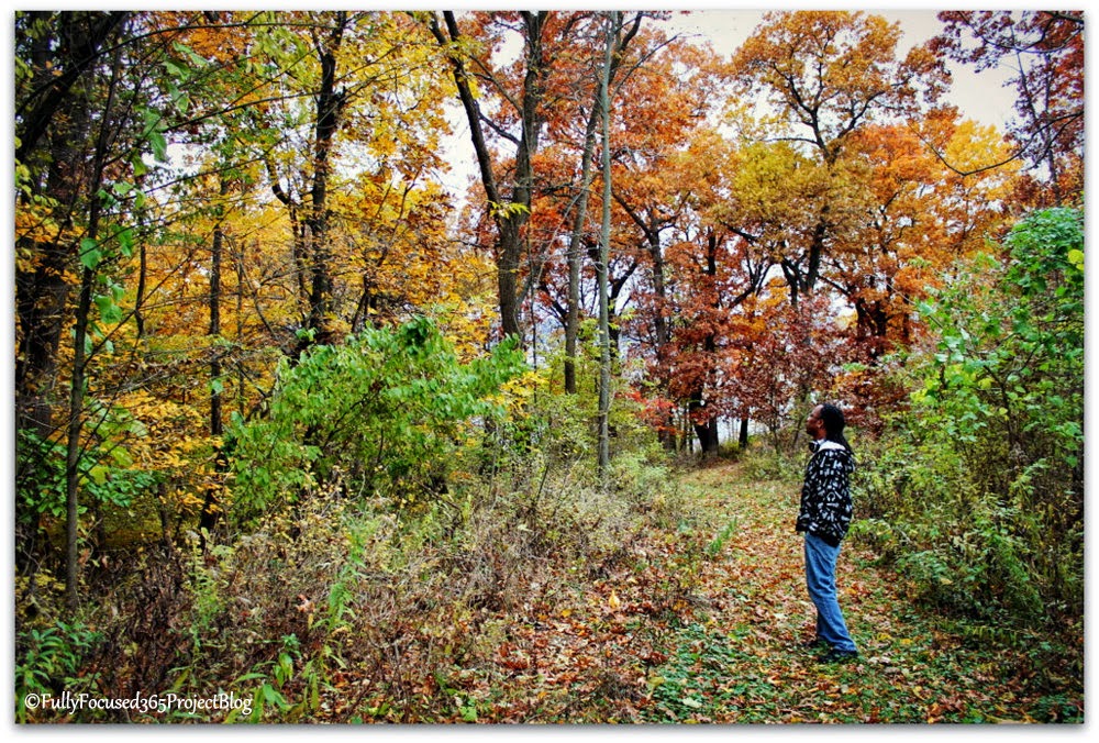 Fully Focused: 365 Project-Photography-One Photo A Day For a Year: Day ...