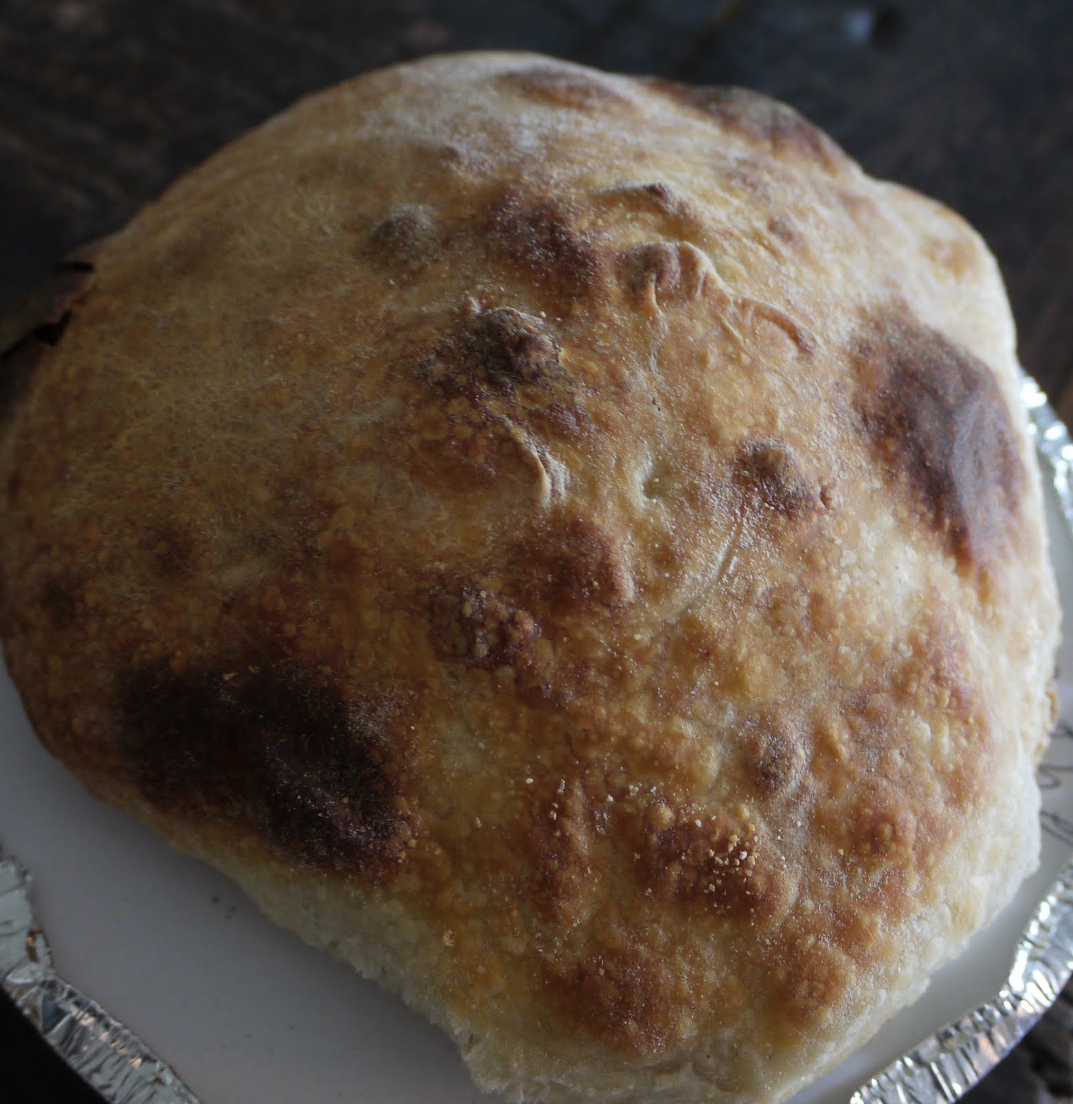 Street Gourmet LA: 2011 in Street Food, Friends, Revolutions, Hotels ...