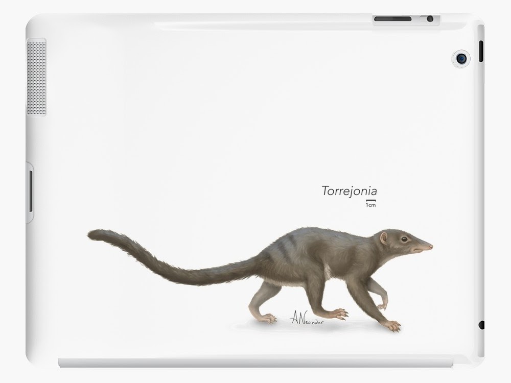 GeoScienze: Il primate più antico viveva sugli alberi e non sul terreno