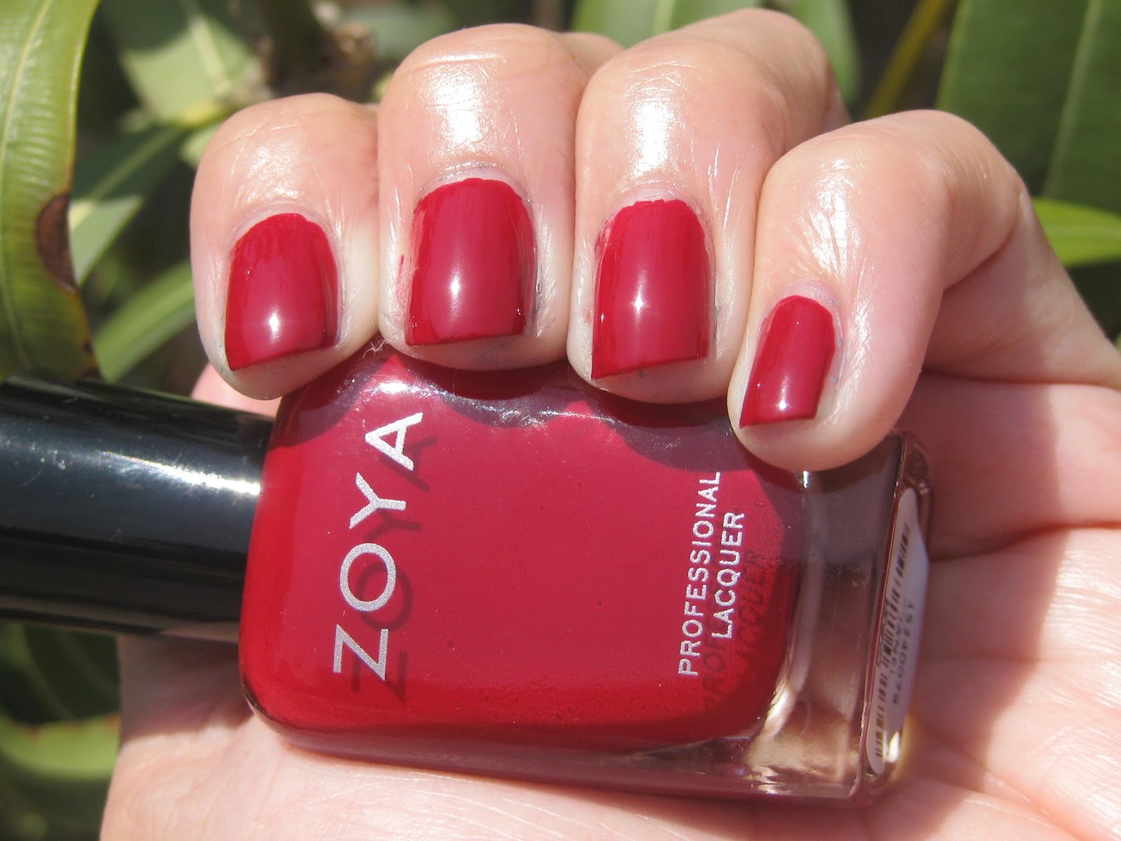 Zoya Fall 2015 Focus and Flair Collections Swatches, Video Review - The ...