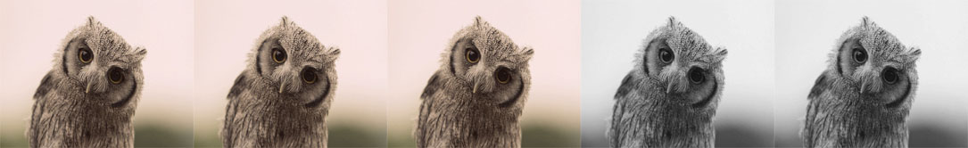 Ese Libro me Gusta: Reseña: Quantic Love, Sonia Fernández-Vidal