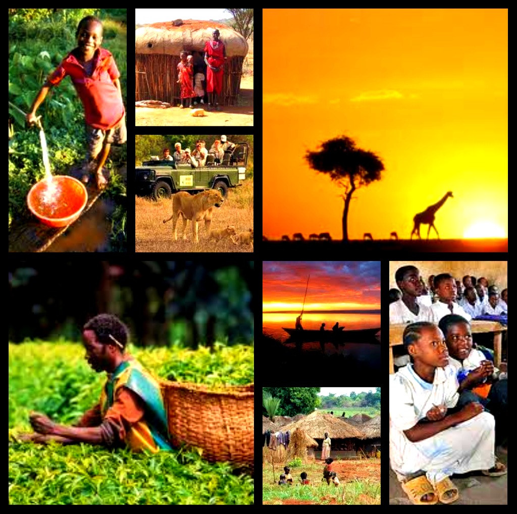 Donya Khouryzat: Kenya