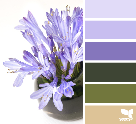 Love, Laughter, & Leisure : Interior 'Design Seeds'