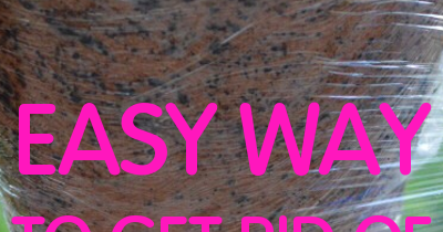 Julianna - Women's fitness and wellness: Easy way to get rid of ...