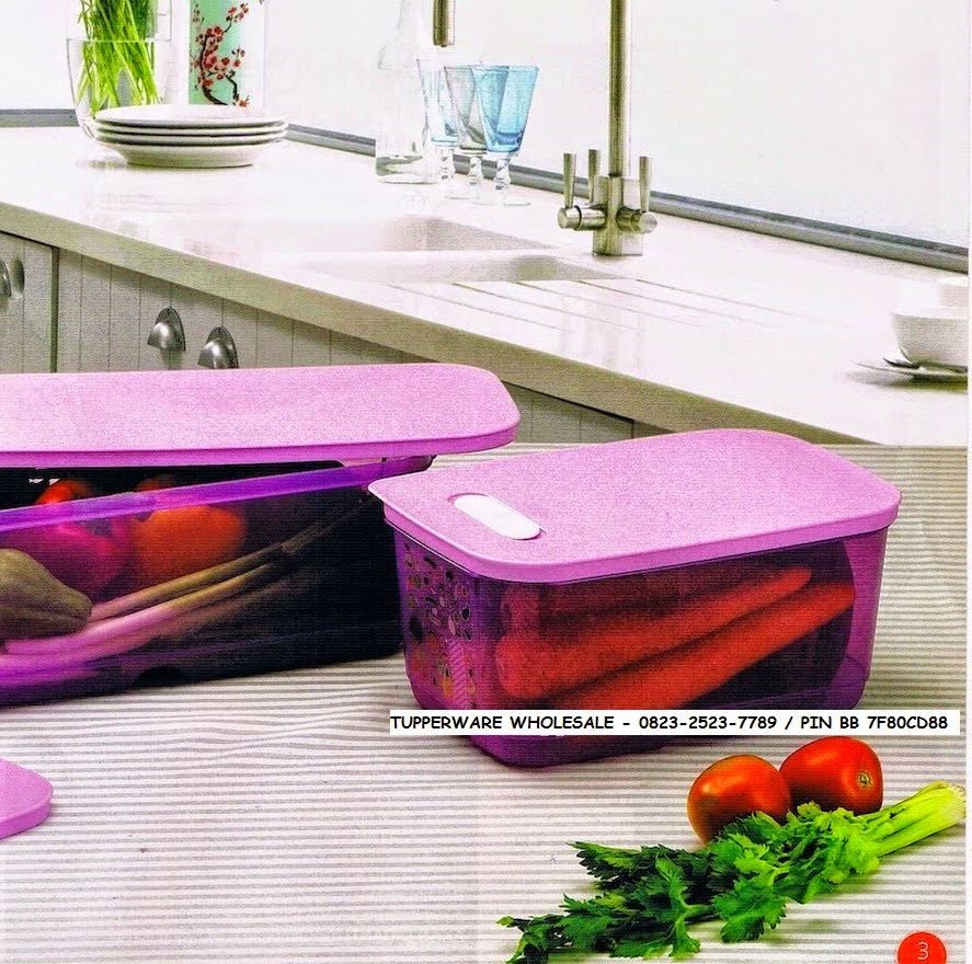 Tupperware Wholesale (Jakarta): VENTSMART (ACTIVITY TUPPERWARE ...