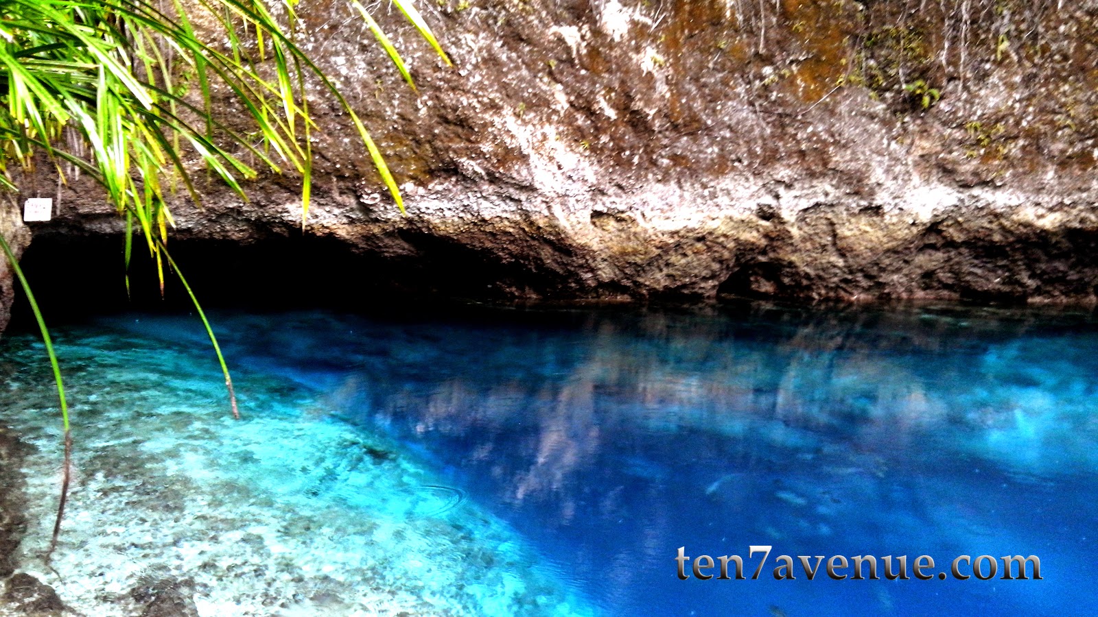TEN7AVENUE: The Enchanted River