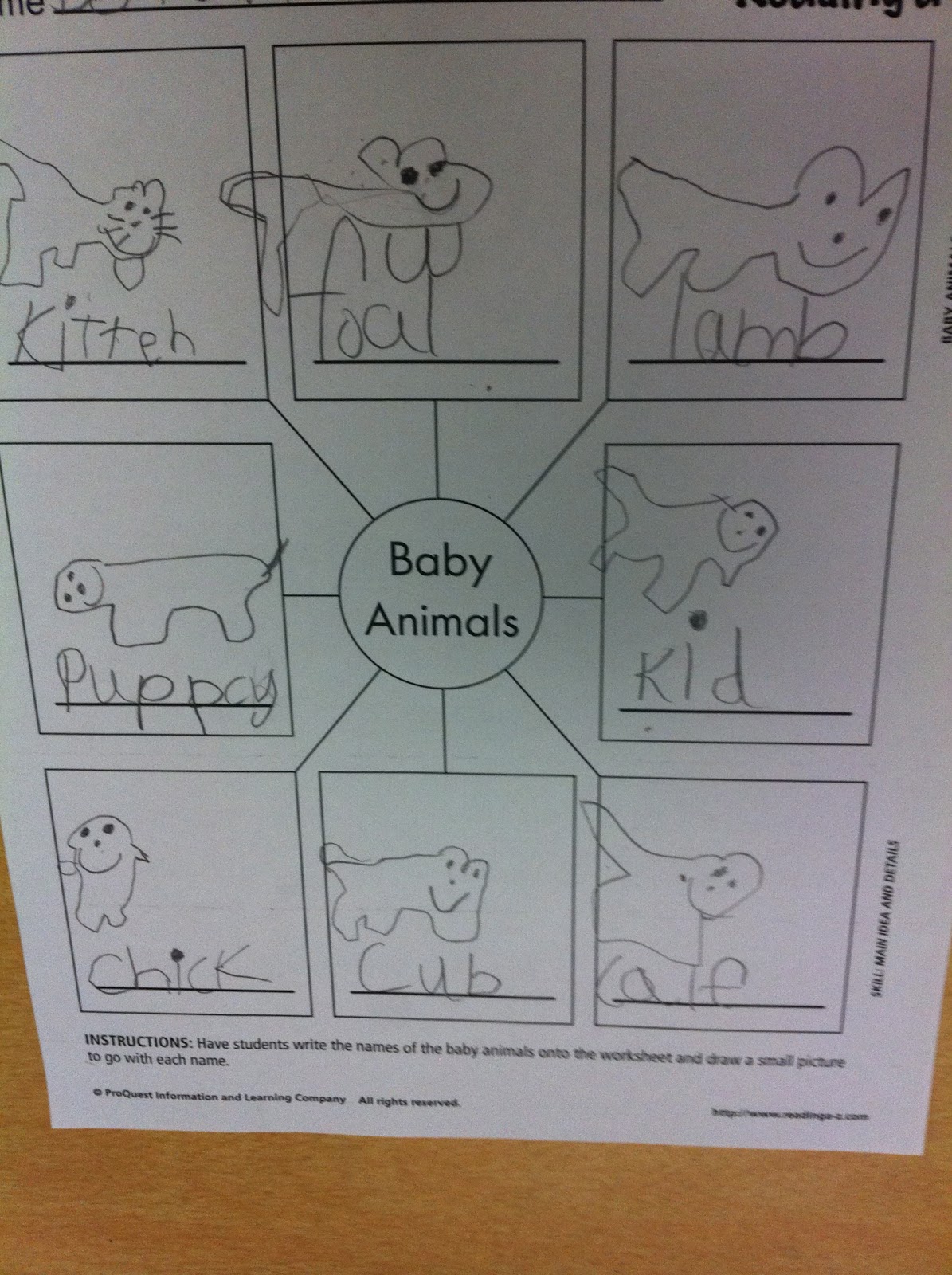 Kinderpond: Reading: Baby Animals