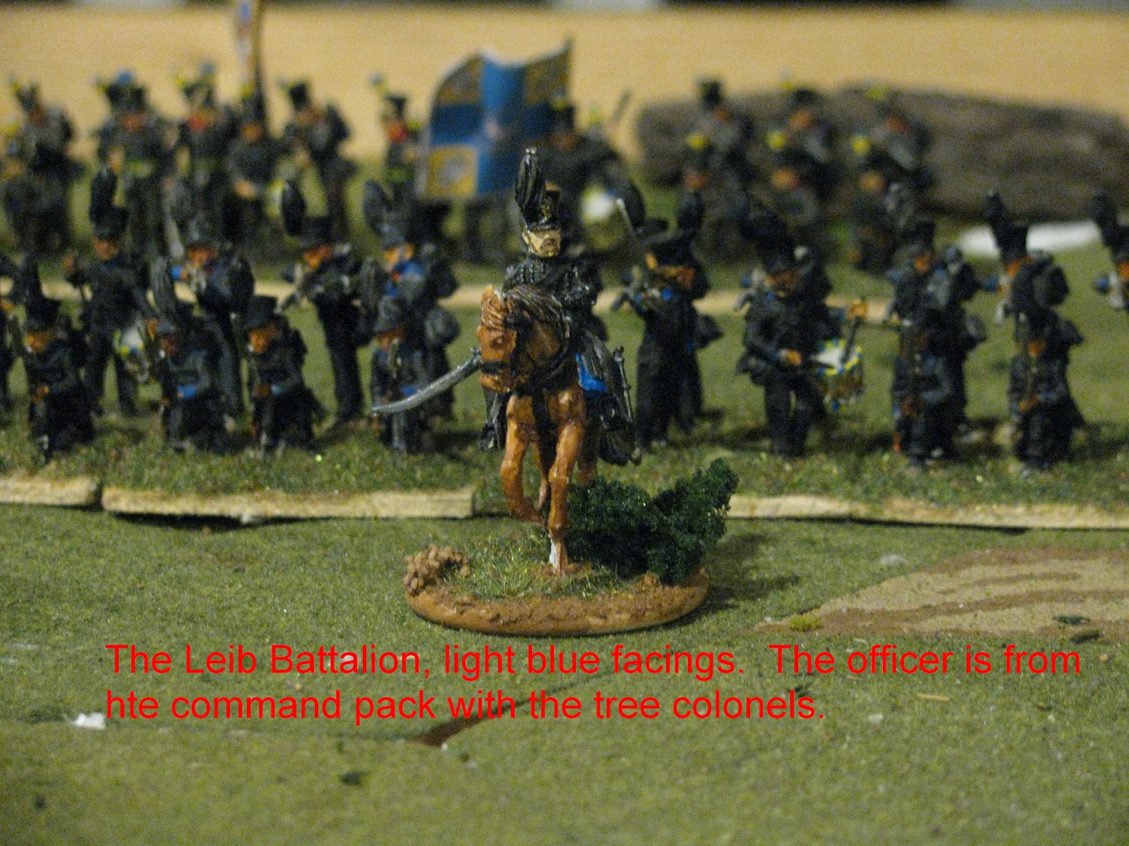 Brunswick Contingent for Quatre Bras Line and Leib Battalions