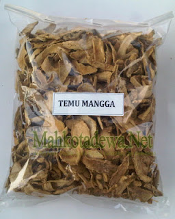 Temu Mangga ~ Teh Herbal Pelangsing Alami "Daun Jaticina"