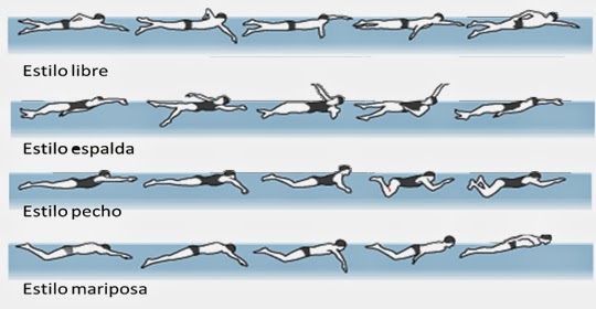 natacion : LAS REGLAS DE LOS ESTILOS EN LA NATACIÓN