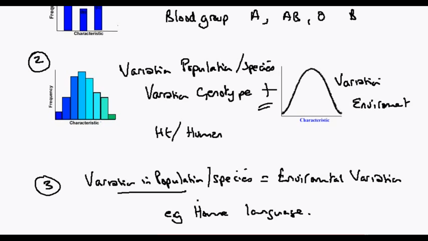 Andrew Biology: Species variation