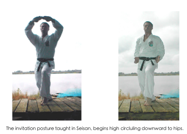 Isshinryu Karatedo Kobudo: The Postures of Isshin-ryu Karate