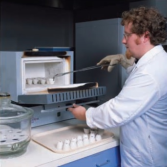 Basic Test for Wheat and Flour