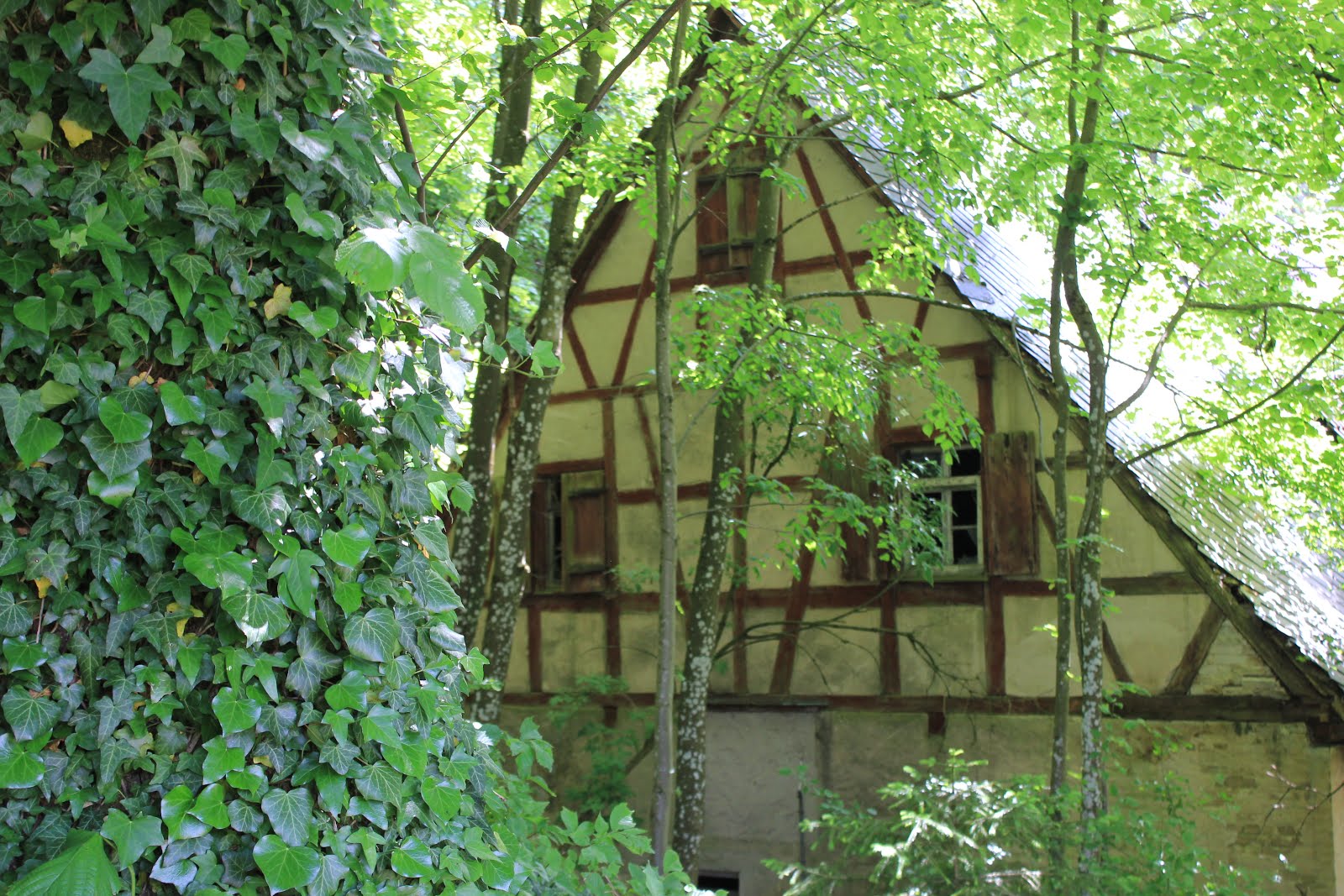 Die Naturdenkmäler rund um Betzenstein