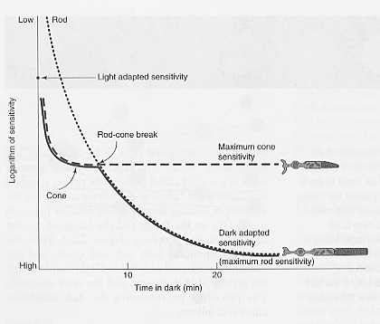 perceptionsense: Dark Adaptation