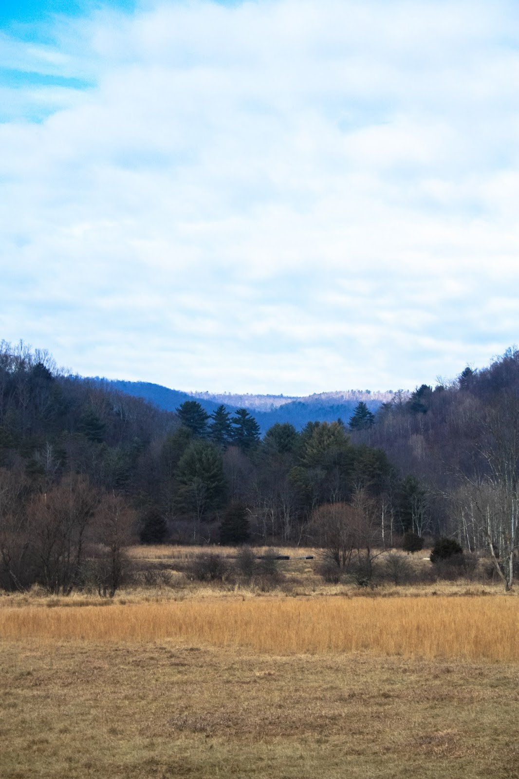 Hewitt Covered Bridge