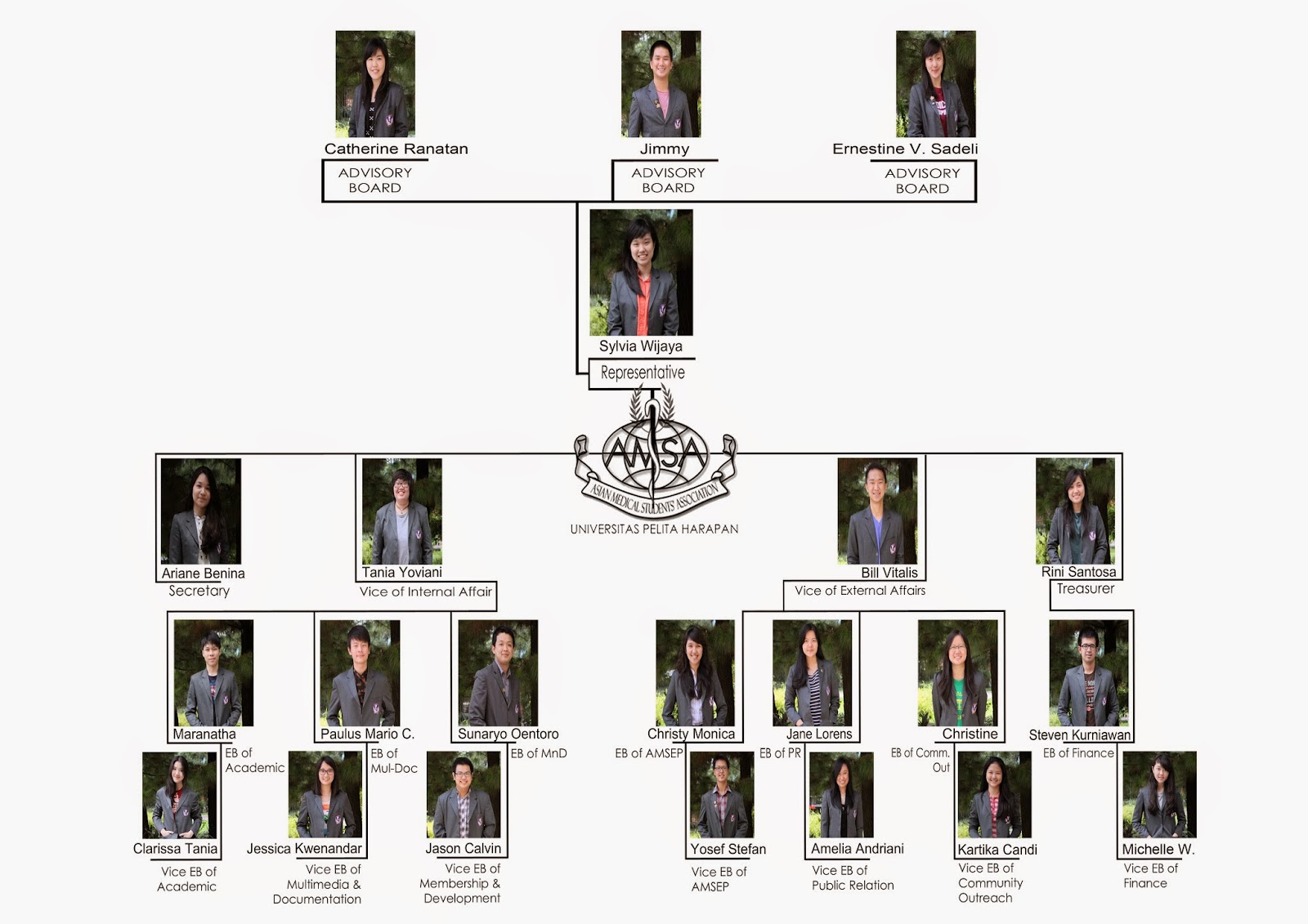 Organizational Chart AMSA UPH 2014 | A M S A - U P H