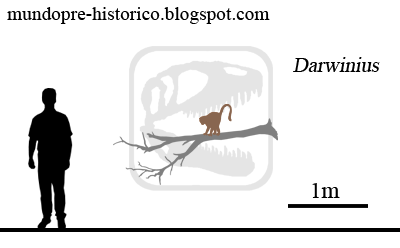 Mundo Pré-Histórico: Darwinius, nosso antigo ancestral?
