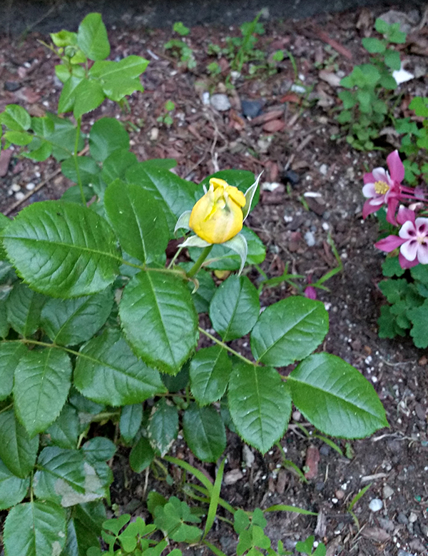 Miss Edna's Place: Saving Your Memories