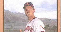 Baseball Cards Come to Life!: Baseball card story from Mike Erb