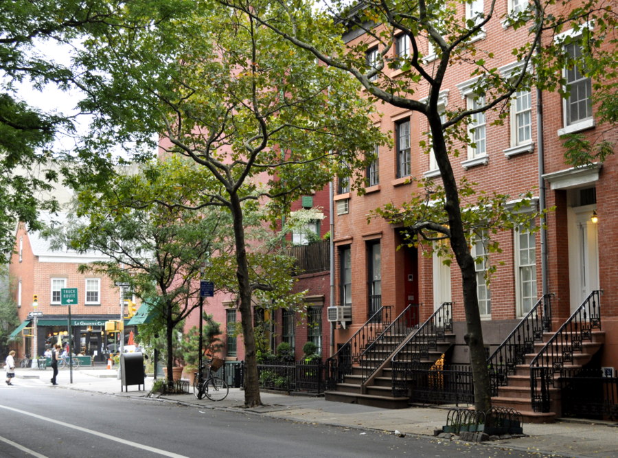 Tomatoes From Canada: Our Home in NYC