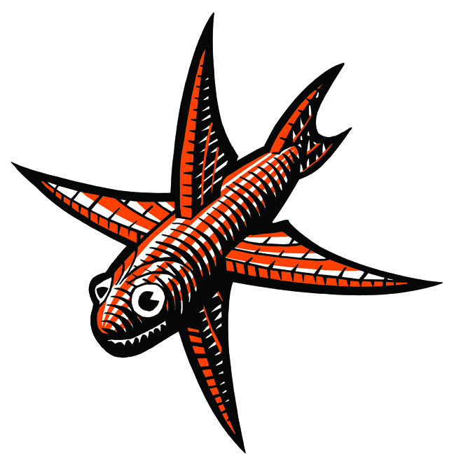 Exploriment: Depth Fish