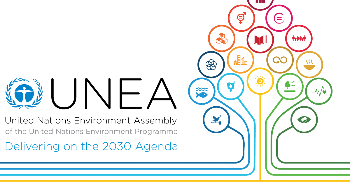 What happened at UNEA?