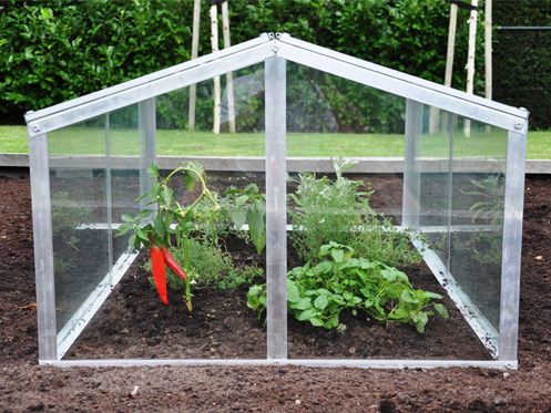 Tuindesign: Voorzaaien in een koude bak