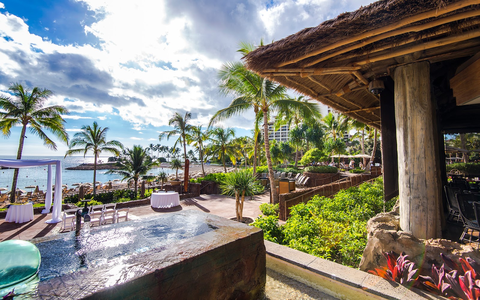 Gazing at Pacific Blue