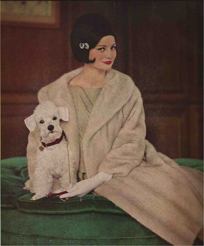 devodotcom: ITS A FUR THING!