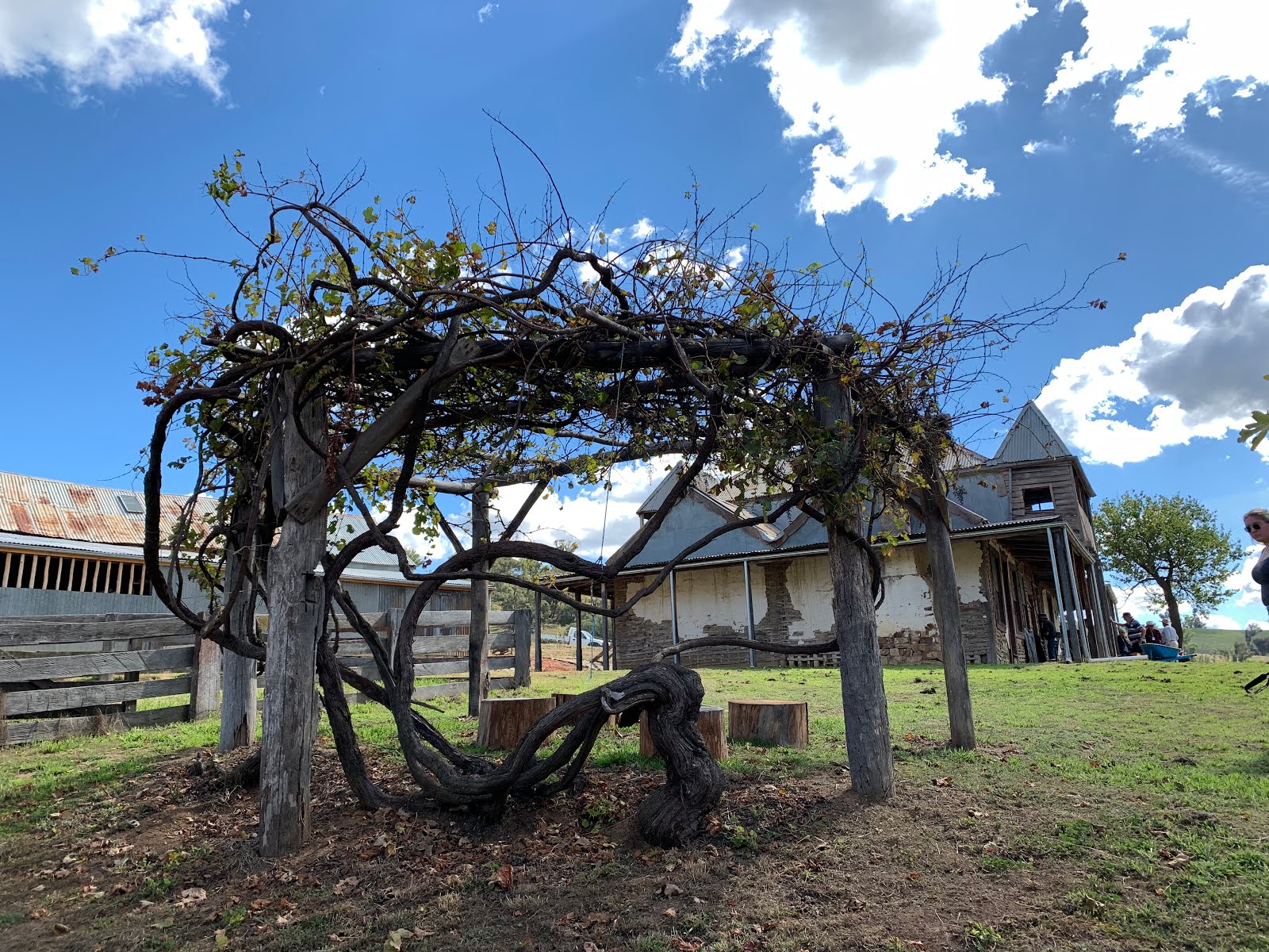 jannimary: "Mountain View" Homestead