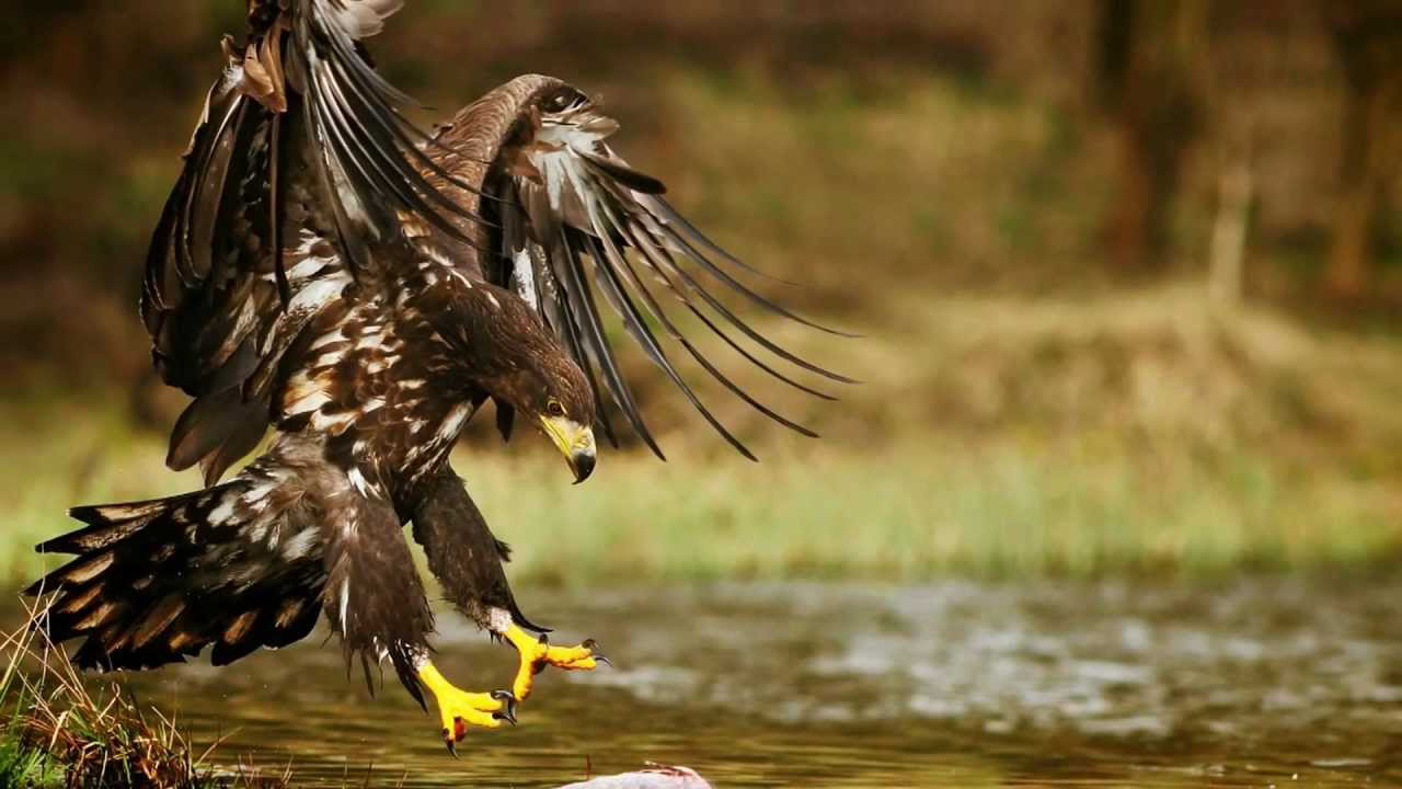 Nonummy nibh congue nihil imperdiet - Photosout