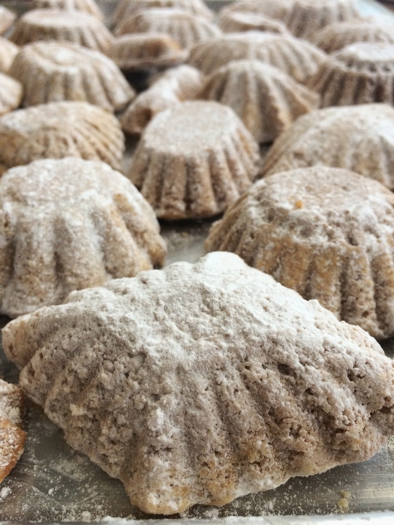 COOKam i guštam: Medene šape / Pracne s medom